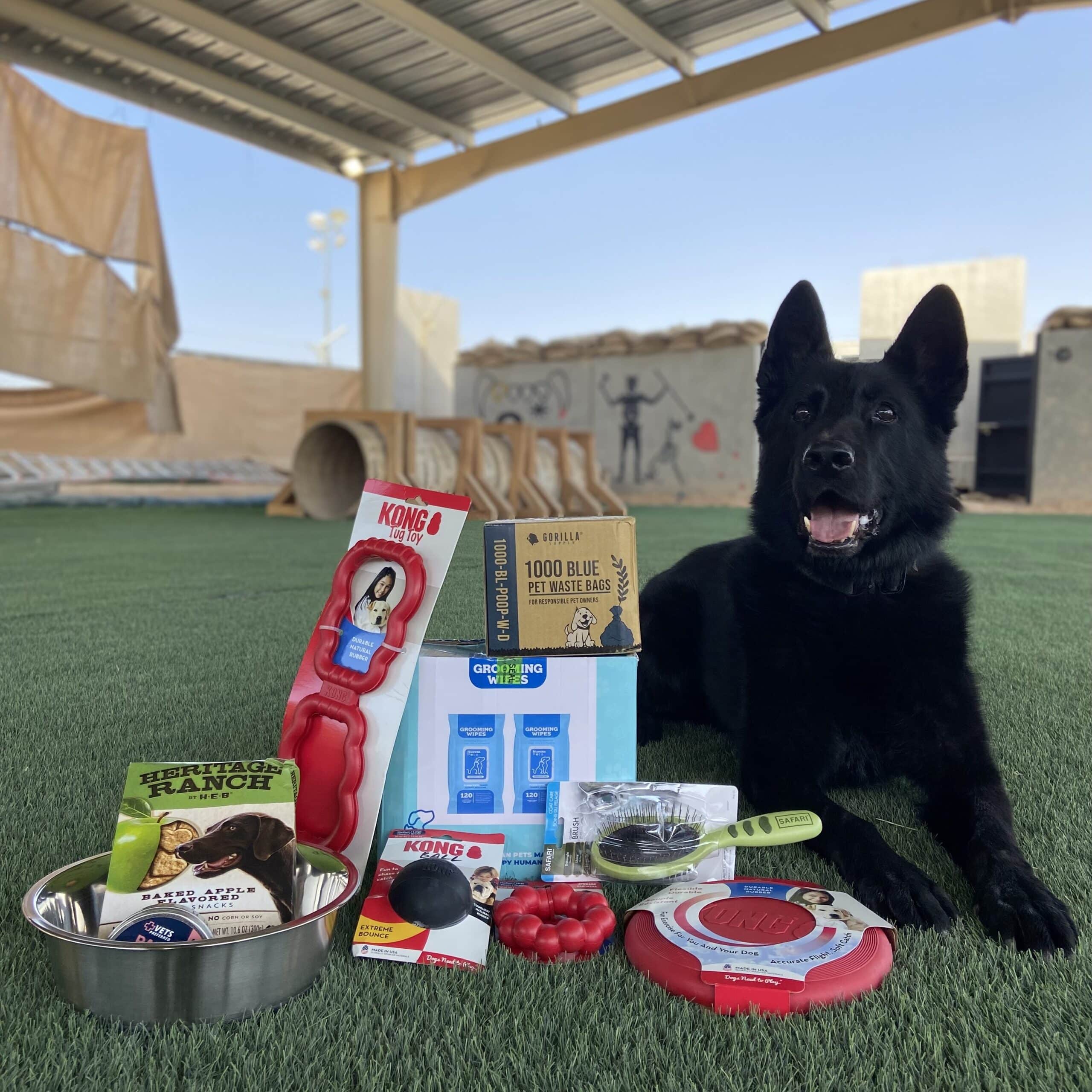 The Indispensable Role of Military Working Dogs - Soldiers' Angels