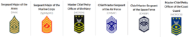 Enlisted Insignias 101 - Soldiers' Angels