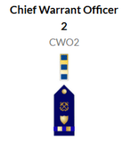 Officer Insignias 101 - Soldiers' Angels
