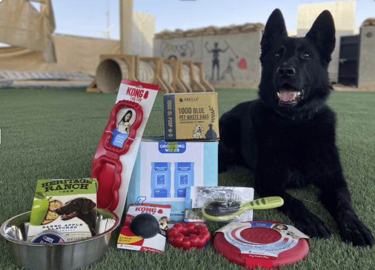 DOGS OF DUTY: The Story and Legacy of Military Working Dogs - Soldiers ...