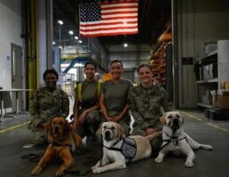 PTSD Service Dogs: Trained to Heal