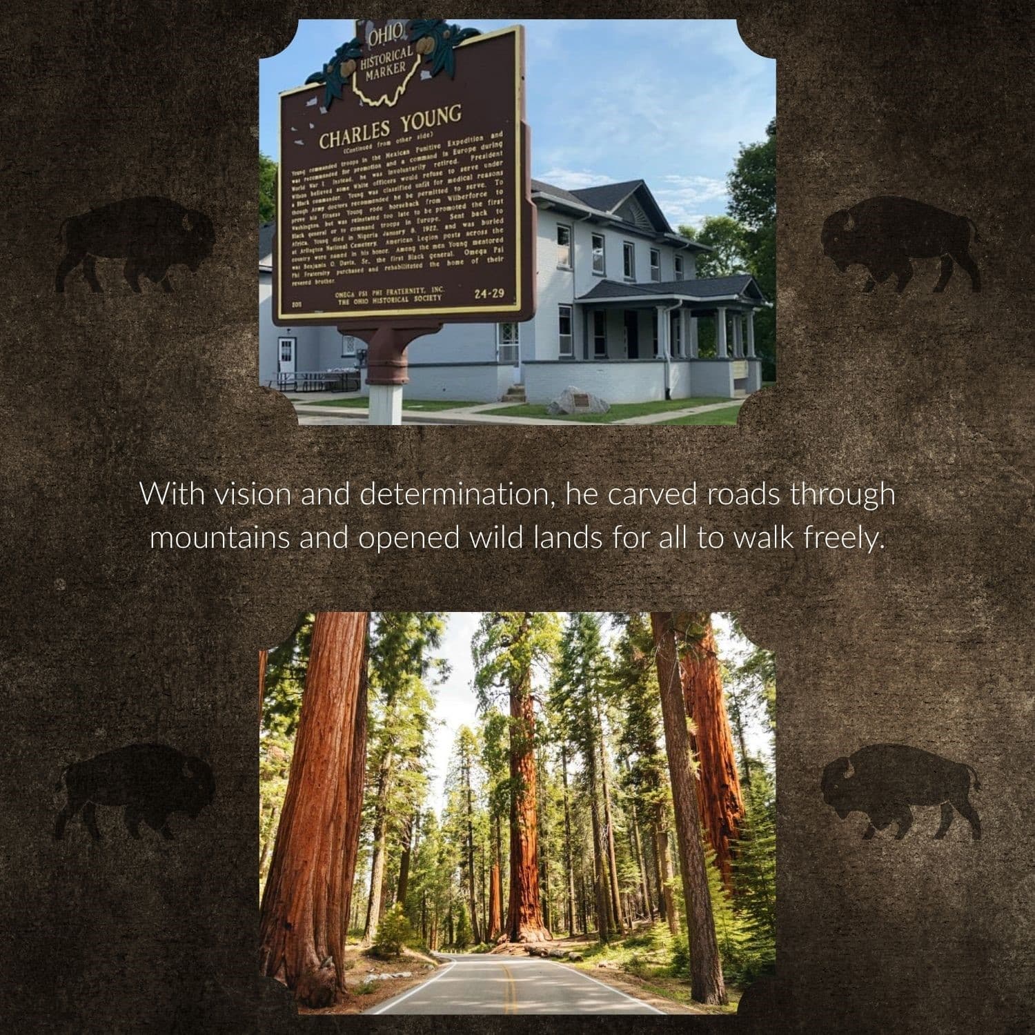 Buffalo Soldiers: Honoring Their History, Heroism, and Legacy